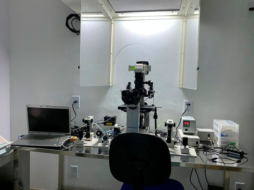 CITI Lab - CITI Medicina Reprodutiva